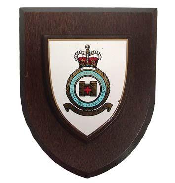 RAF PRINCESS ALEXANDRA HOSPITAL WROUGHTON SHIELD PLAQUE / MILTARIA